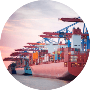 The Issue : IMO Test Biofouling