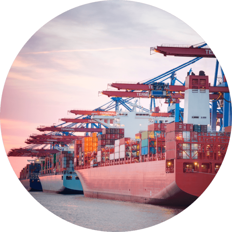 The Issue : IMO Test Biofouling