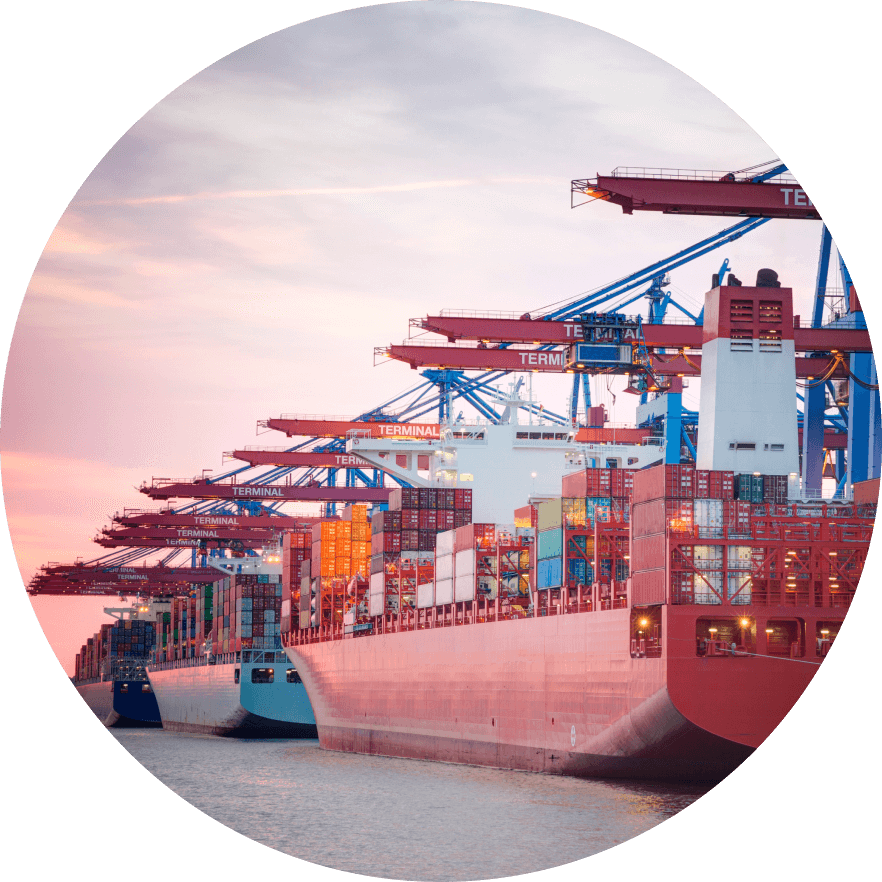 The Issue : IMO Test Biofouling